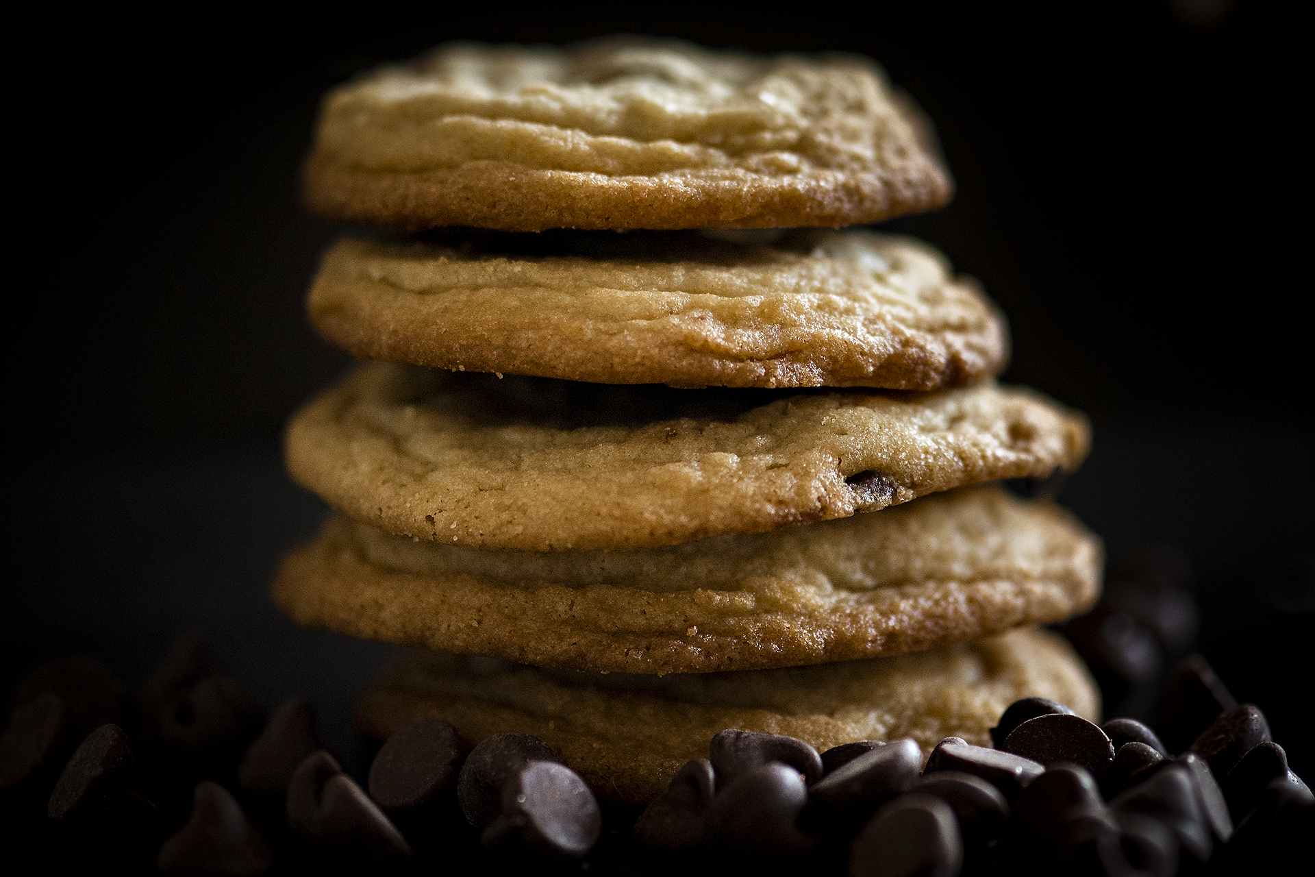 Cookie Expeditions - Erin Covey Creative Blog